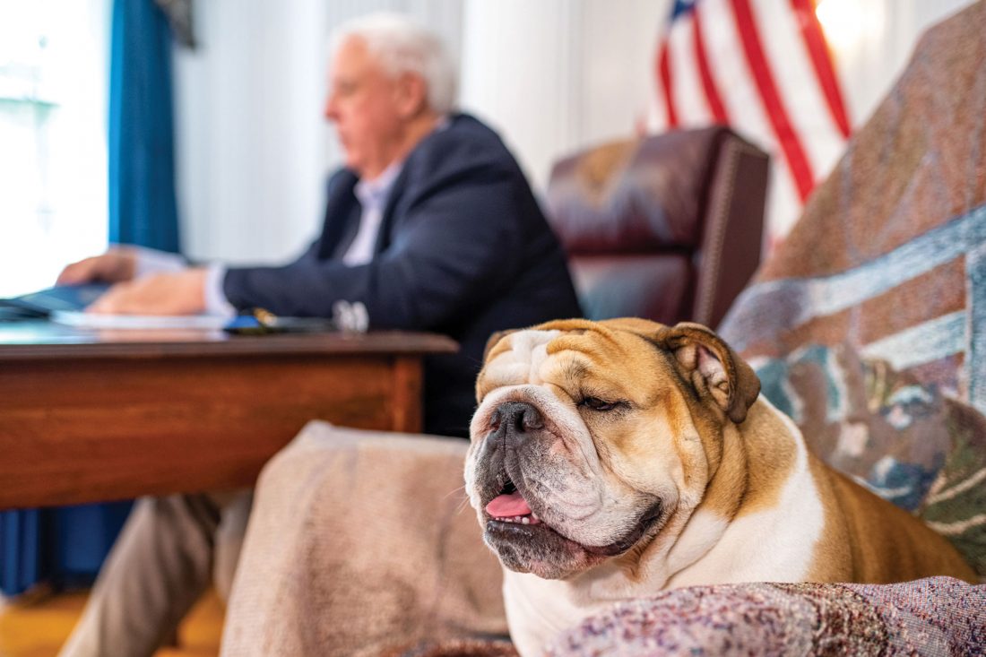 Four Mid-Ohio Valley students among Do it for Babydog drawing winners ...